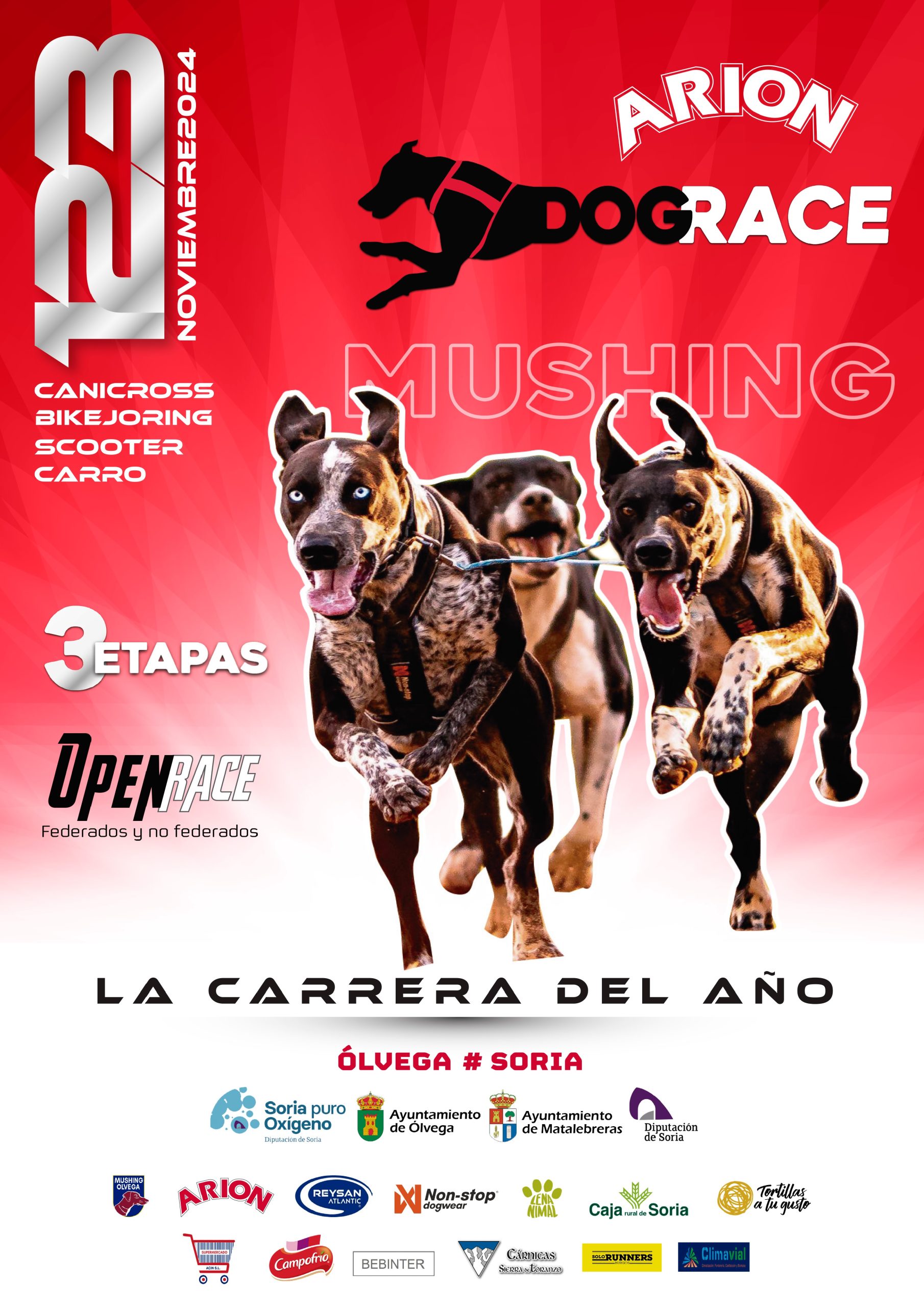 ARION DOG RACE – MUSHING ÓLVEGA 2024 – Cronolimits